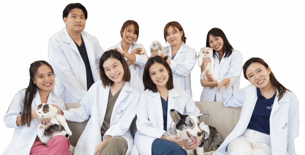 เกี่ยวกับเรา - Vetville