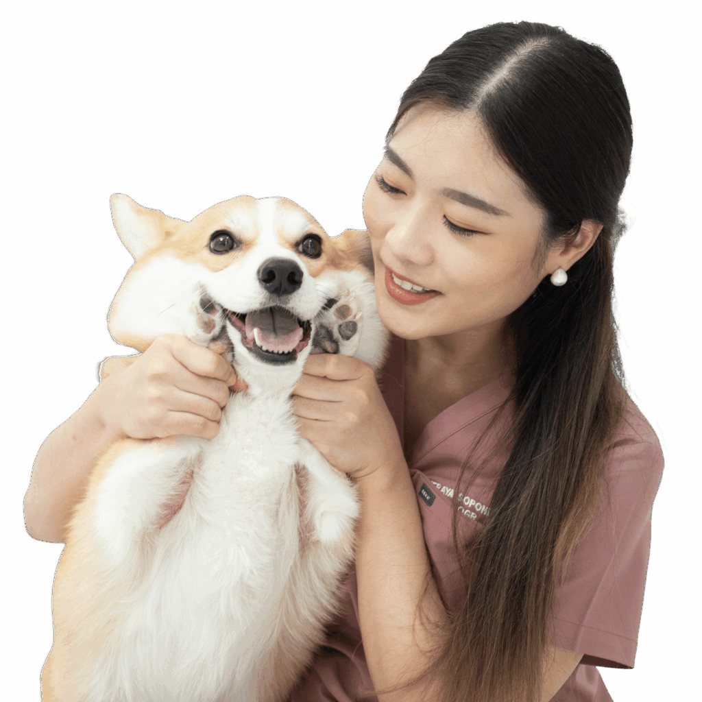 หน้าหลัก - Vetville