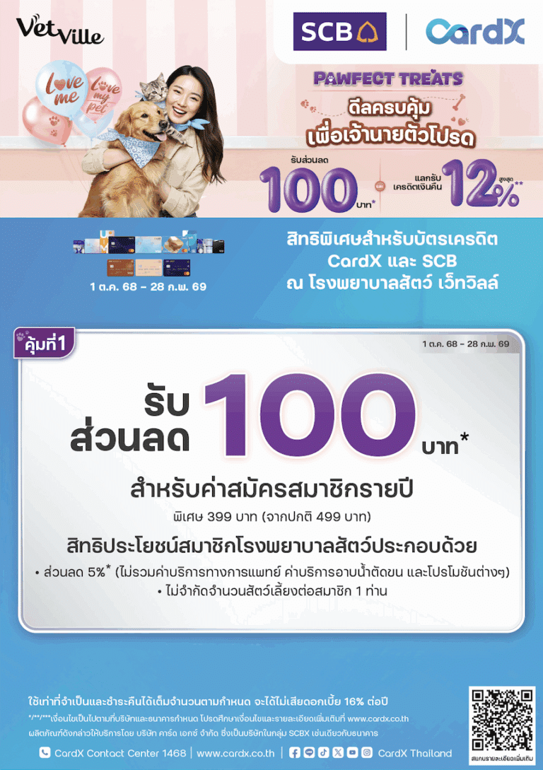 ดีลครบคุ้ม เพื่อเจ้านาย😍 กับโปรบัตรเครดิต SCB และ CardX - Vetville